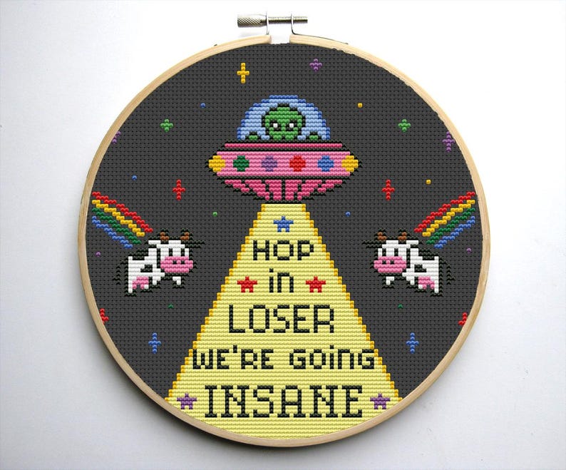 Hop in Loser Were Going Insane Funny Cross Stitch Pattern PDF Meme ...