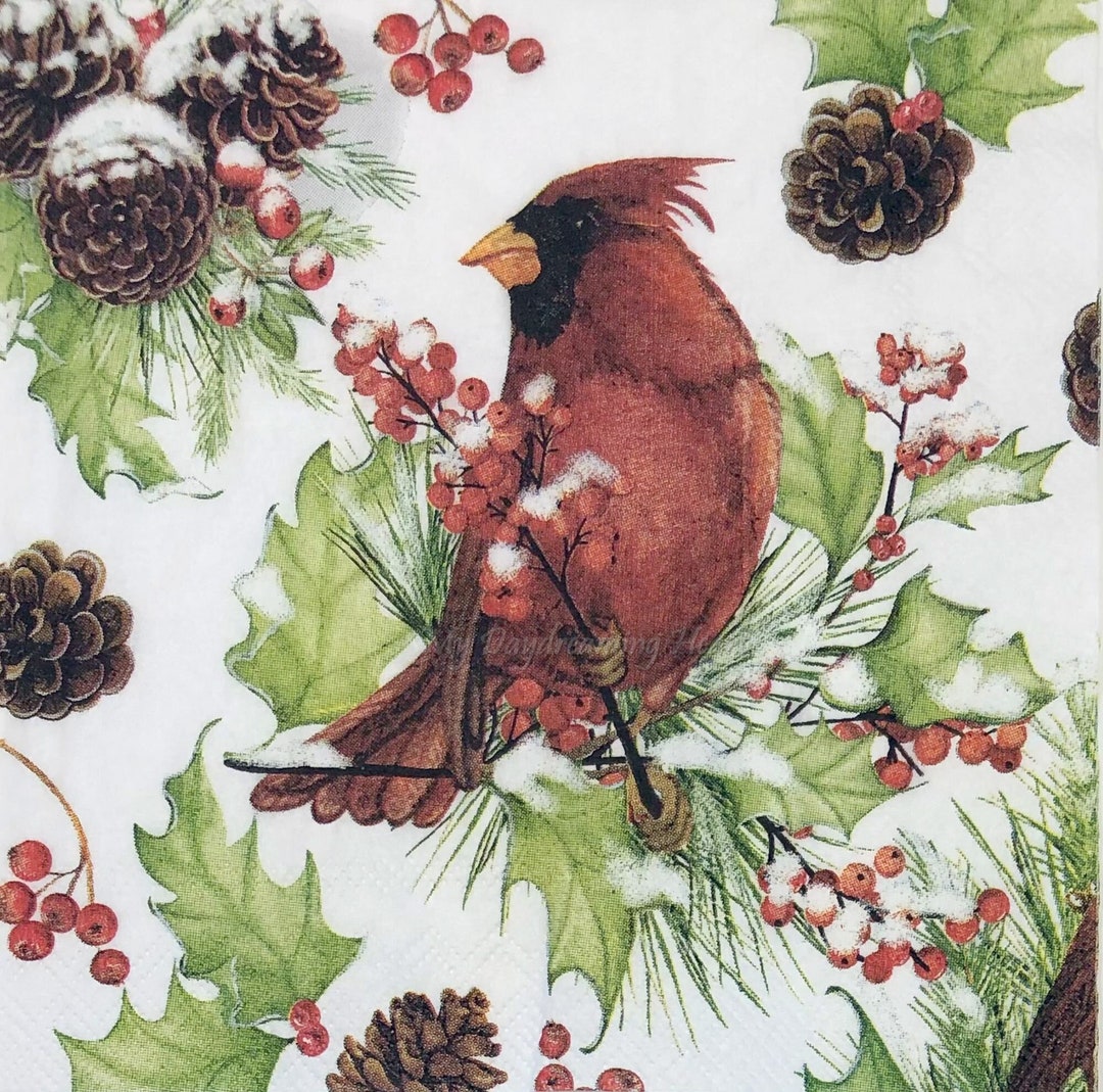 Cardinal Decoupage Napkins Set of 2 Beverage 10" X 10" Craft Napkins - Etsy