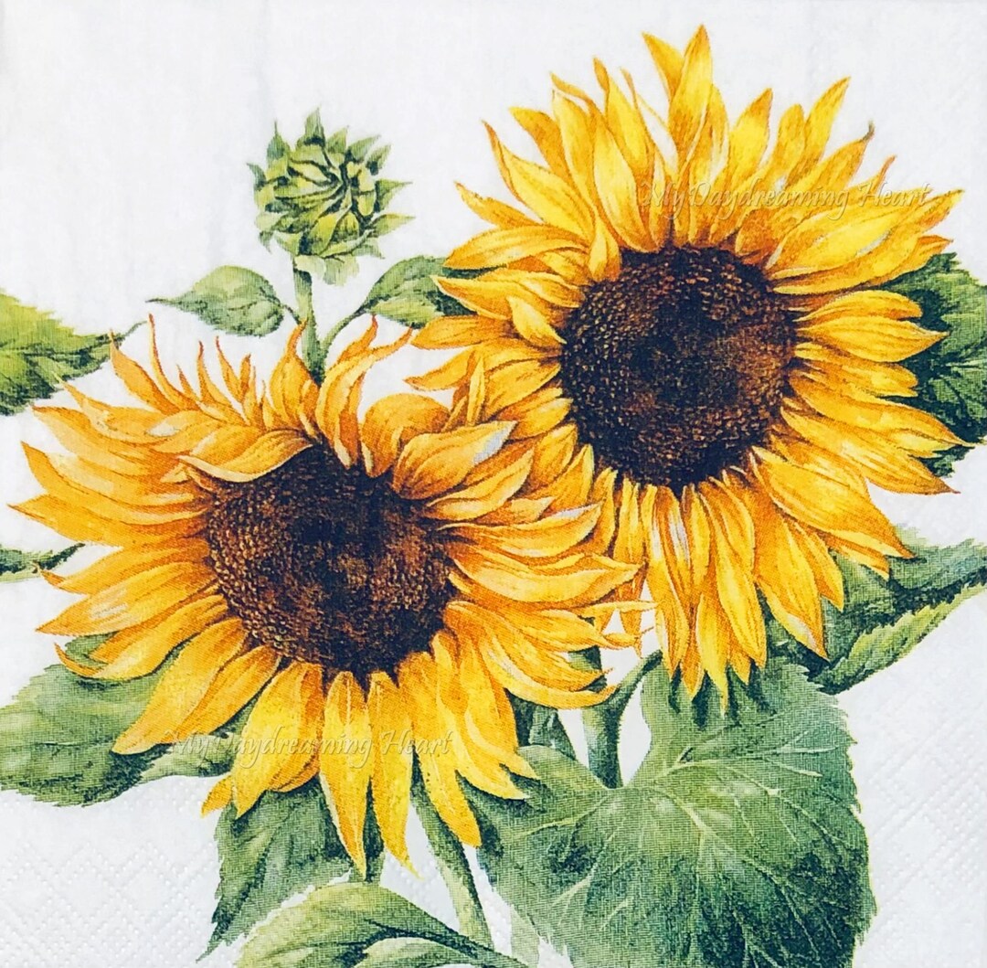 Sunflowers Decoupage Napkins Set of 2 Floral Beverage 10" X 10" Craft ...