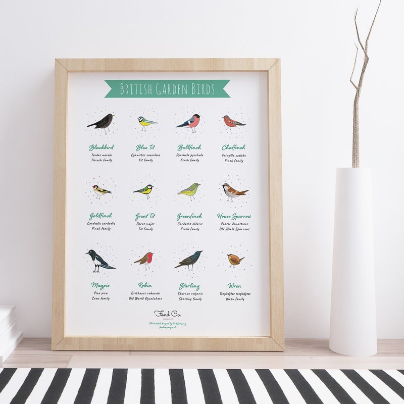 British Birds Poster - Etsy UK
