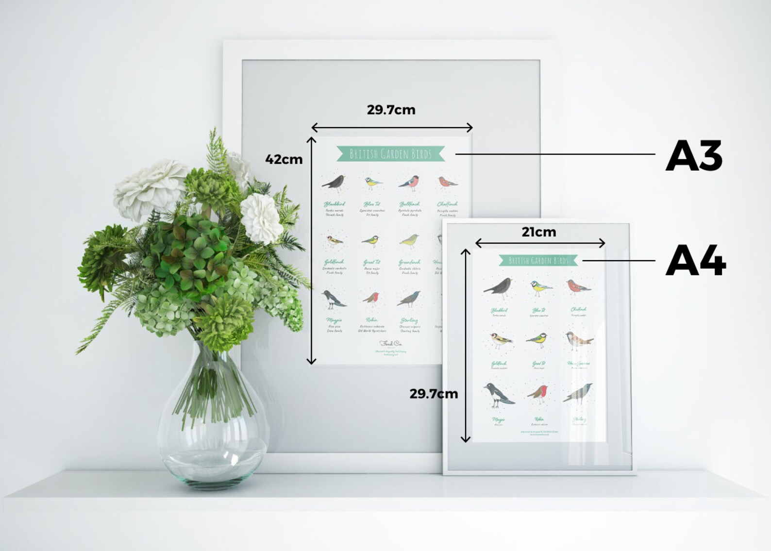 White British Garden Birds A3 / A4 Print. Garden Birds Art - Etsy UK