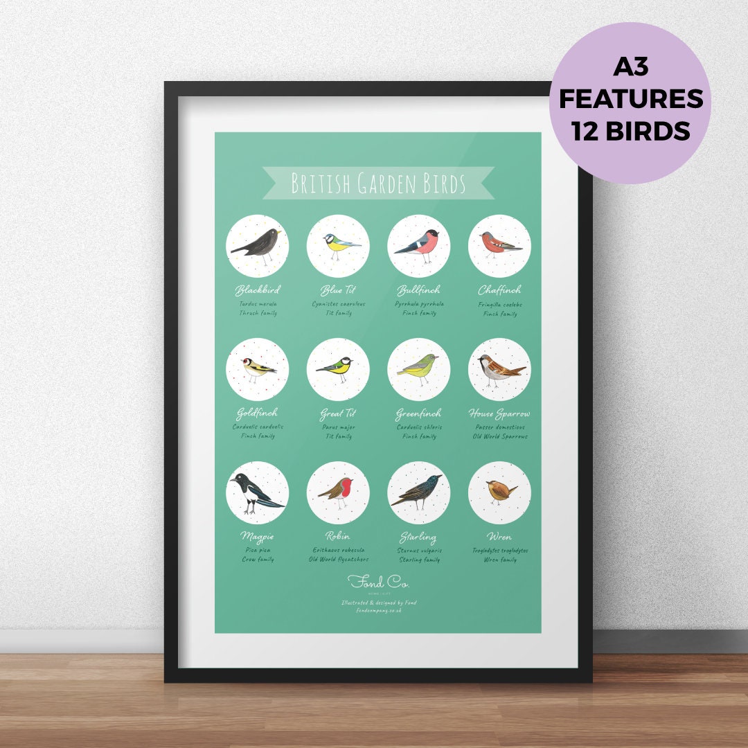 Green British Garden Birds A3 / A4 Print. Garden Birds Art - Etsy