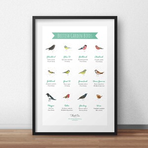 White British Garden Birds A3 / A4 Print. Garden Birds Art - Etsy UK