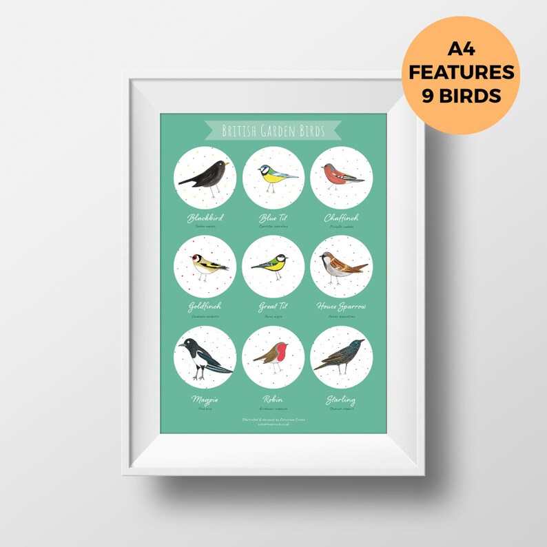Green British Garden Birds A3 / A4 Print. Garden Birds Art - Etsy