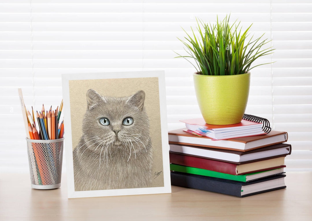 British Shorthair Cat - Etsy