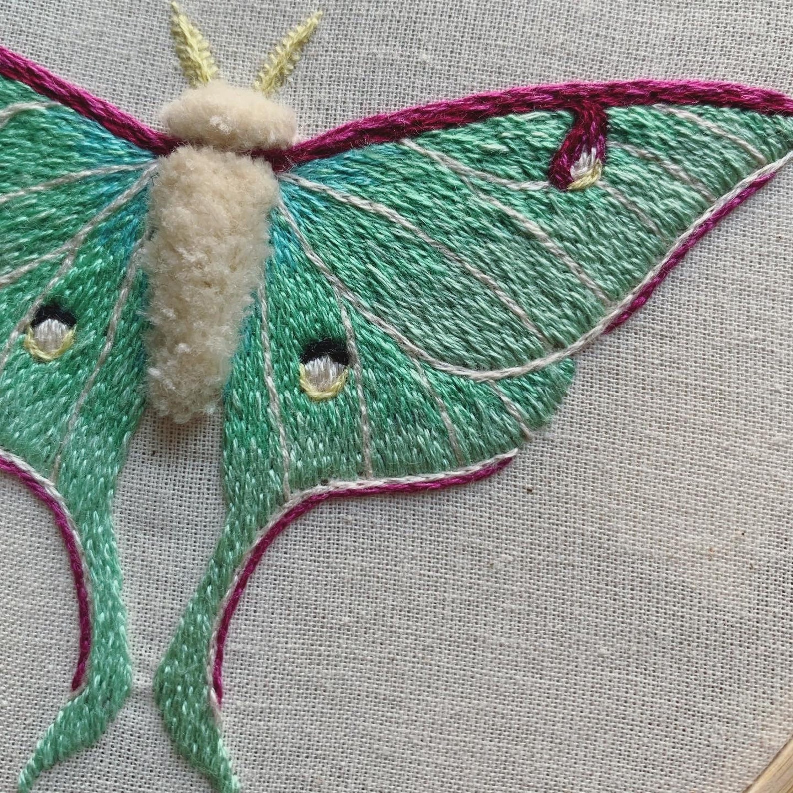 Luna Moth Hand Embroidery Hoop | Etsy