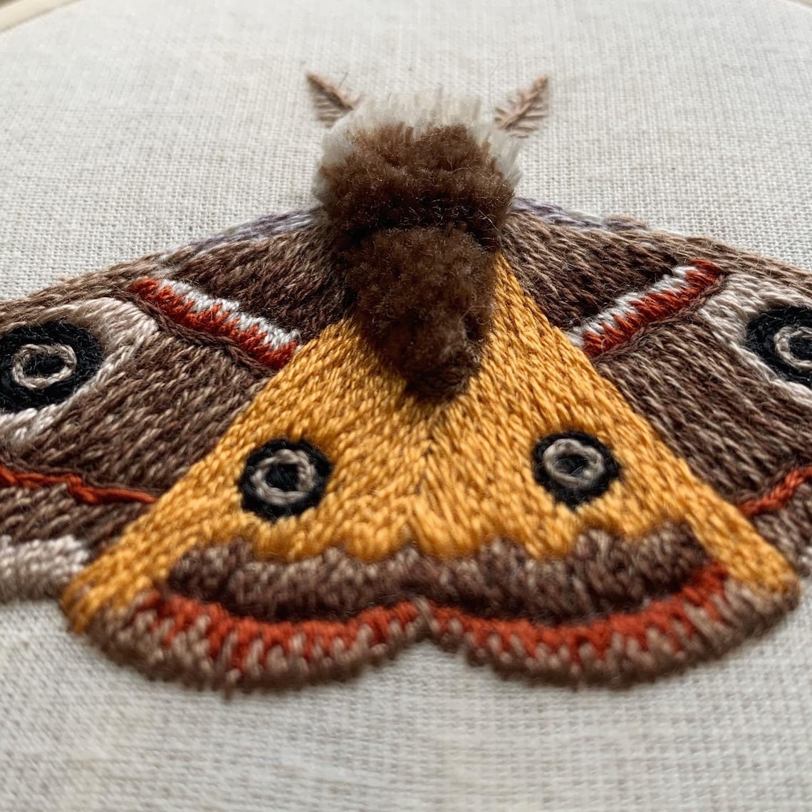 Emperor Moth Hand Embroidery Hoop - Etsy