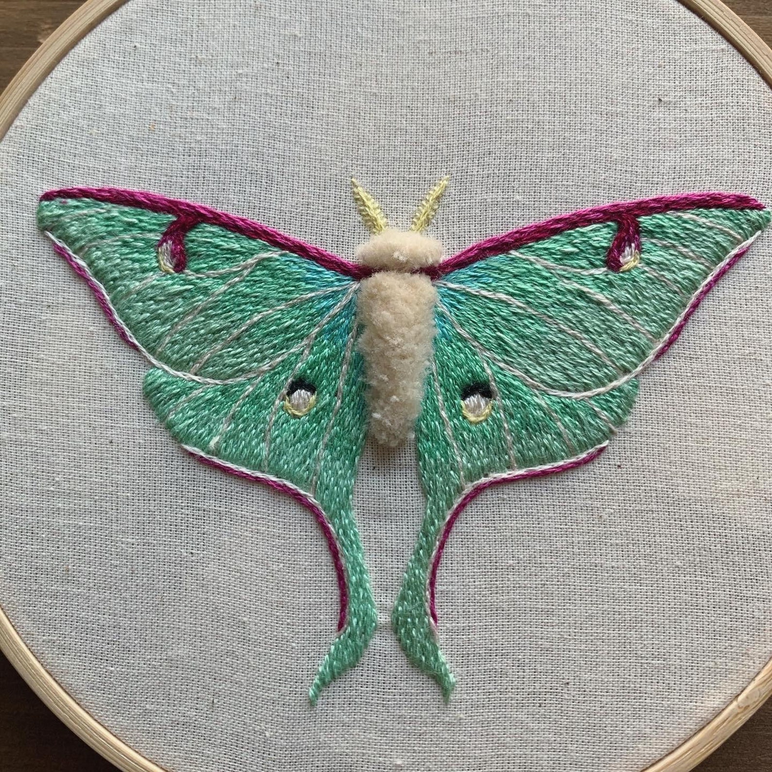 Luna Moth Hand Embroidery Hoop - Etsy