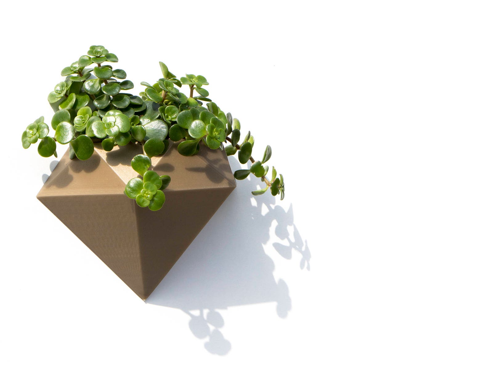 Wall planter Diamond 3D printed Ruby multiple sizes and | Etsy