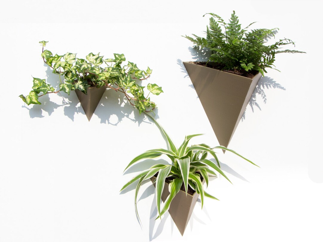 High-quality Biodegradable Triangle Wall Planter - Multiple Colors ...
