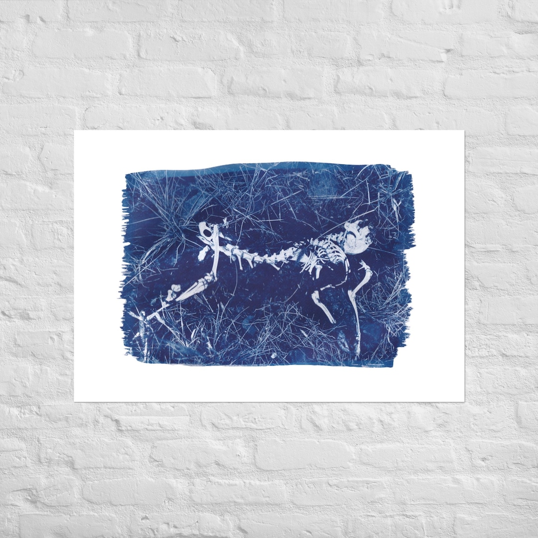 Gothic Cyanotype Art Print Skeleton Hare Poster Edgy Dark Animal Wall ...