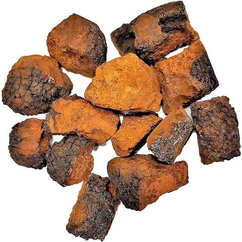 100g Chaga Mushroom Chunks Superfood Raw Vegan Medicine of Gods Herbal ...