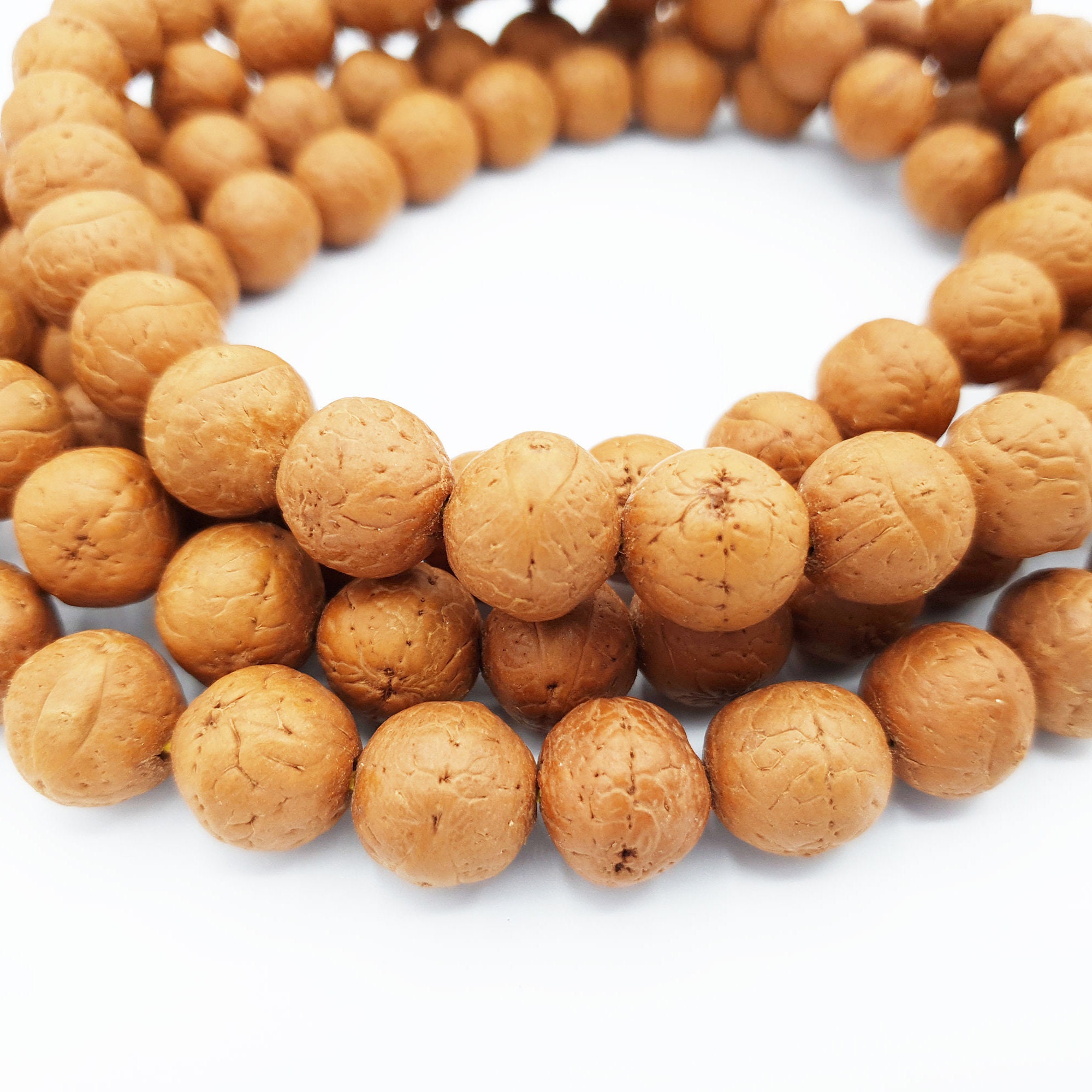 Bodhi Seed Mala Buddha Chitta Mala Buddhist Prayer 108 Beads Tibetan ...