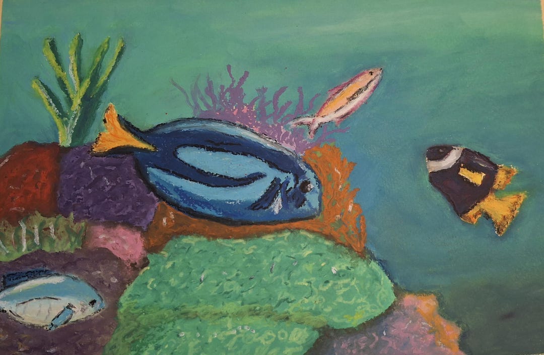 Reef Fish. Original Oil Pastel Painting - Etsy