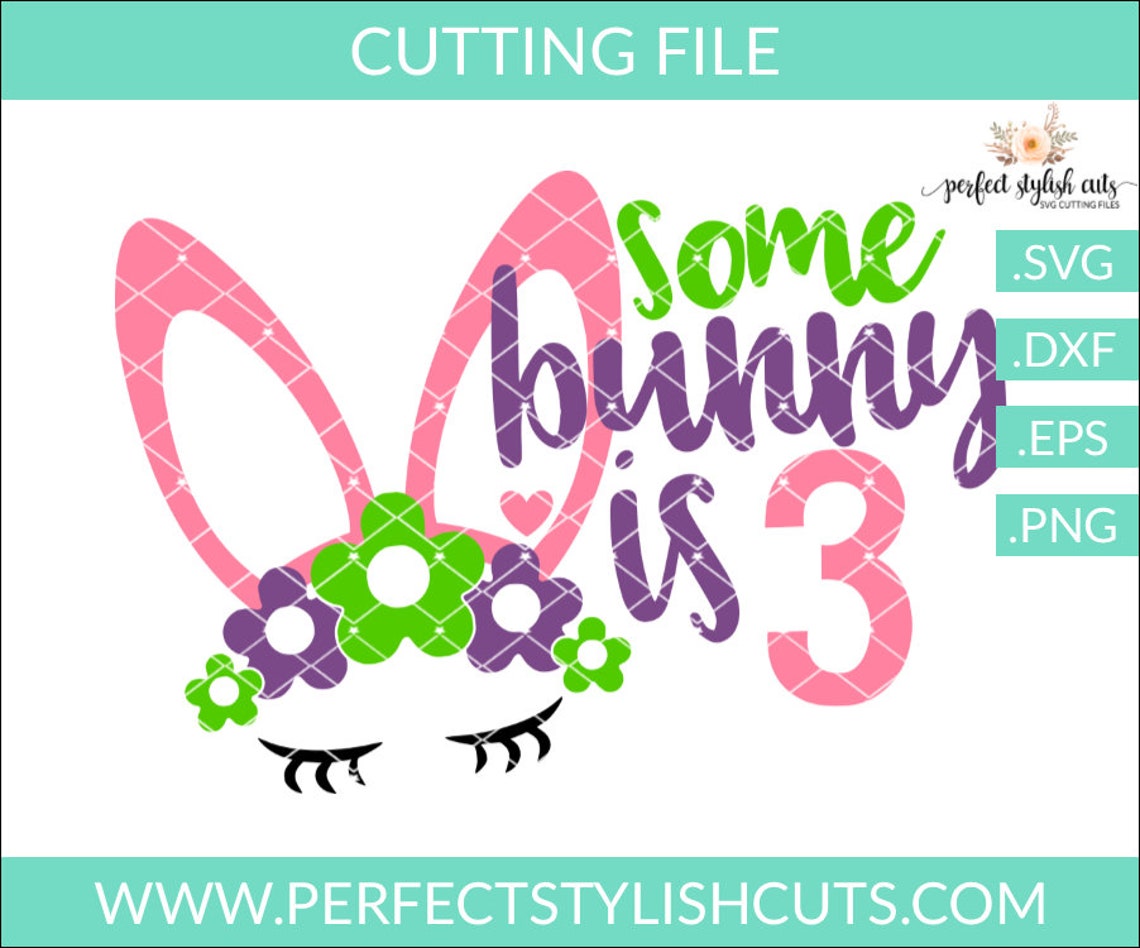 Some Bunny Is Three Svg Easter Birthday Svg Easter Bunny | Etsy