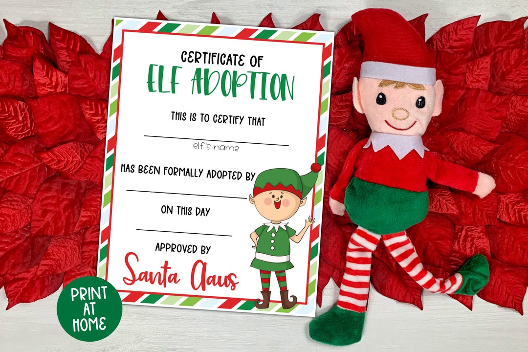 Elf Adoption Certificate Printable - Boy Elf Doll - Etsy