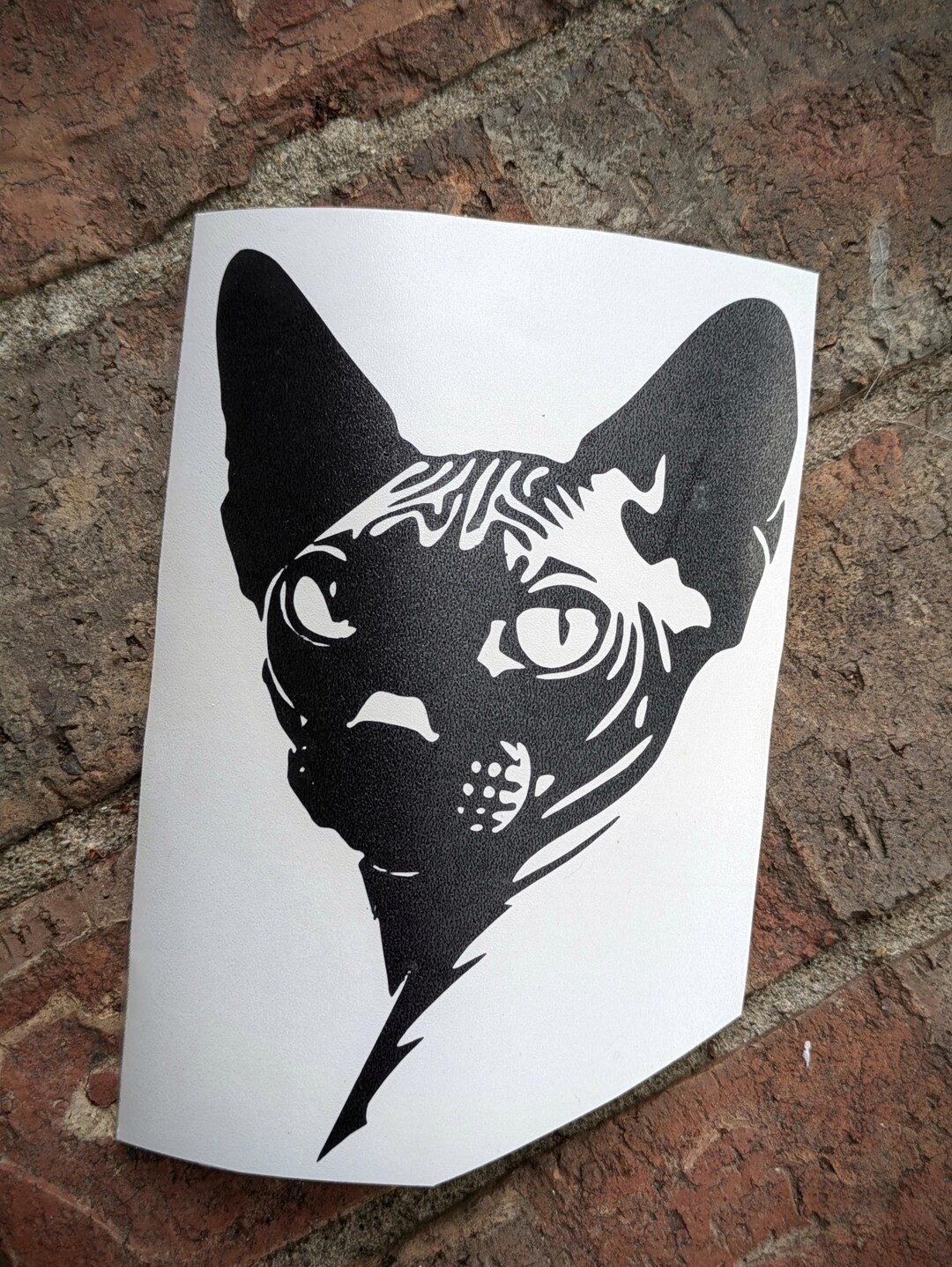 Sphynx Cat Vinyl Decal - Etsy