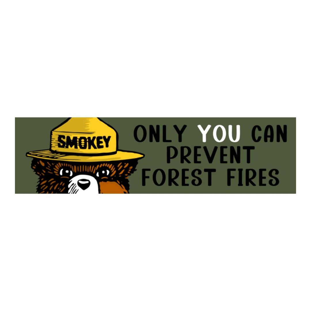 Only YOU Can Prevent Forest Fires | Retro Enviornmental Bumper Sticker ...