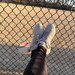 Baseball Foot Stool|baseball Foot Rest|foot Rest|football Foot Rest ...