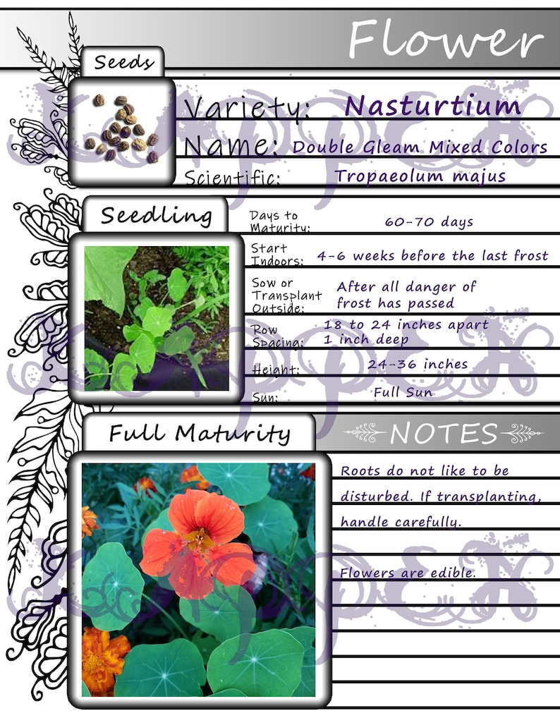 Printable DIY Garden / Plant Journal - 4 Pages Included (vegetables ...