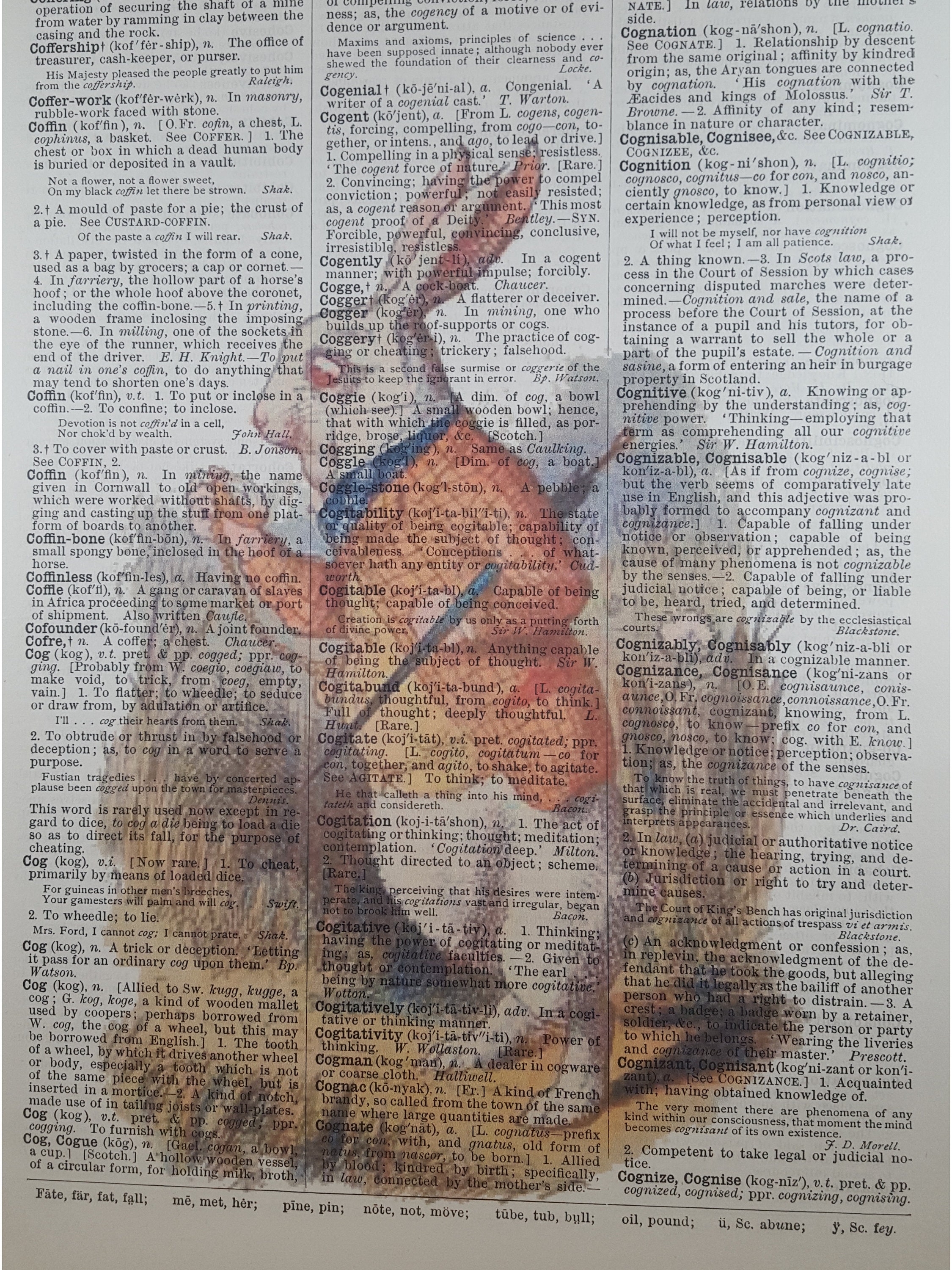 White Rabbit Dictionary Print - Etsy