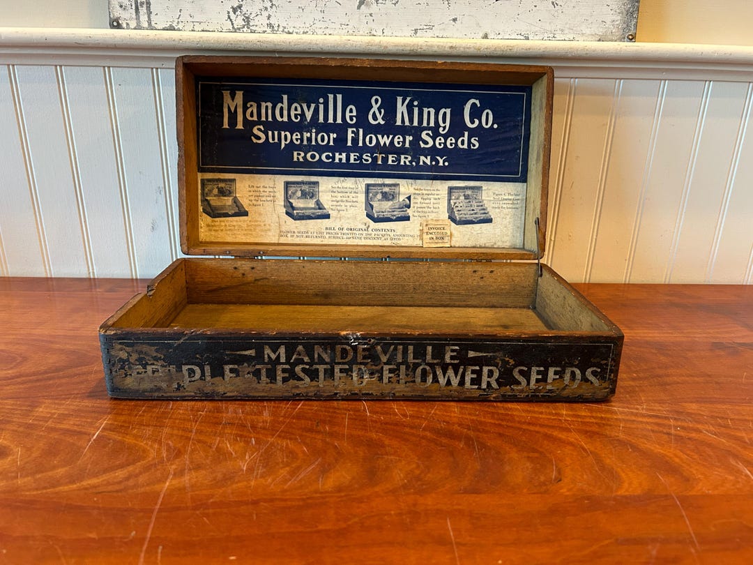 Antique Seed Display Case Mandeville Vintage Seed Crate Vintage Seed ...