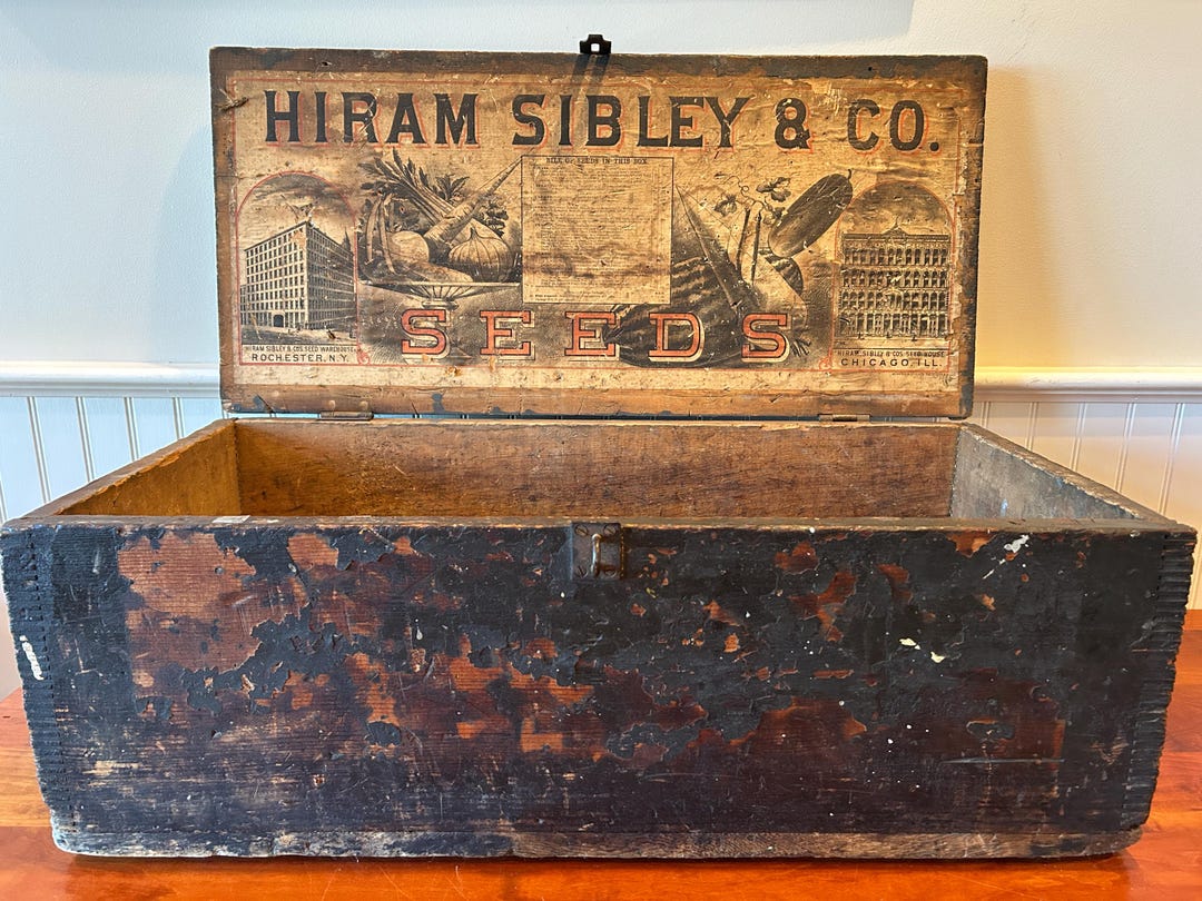 Antique Seed Display Case Vintage Seed Crate Vintage Seed Shipping ...