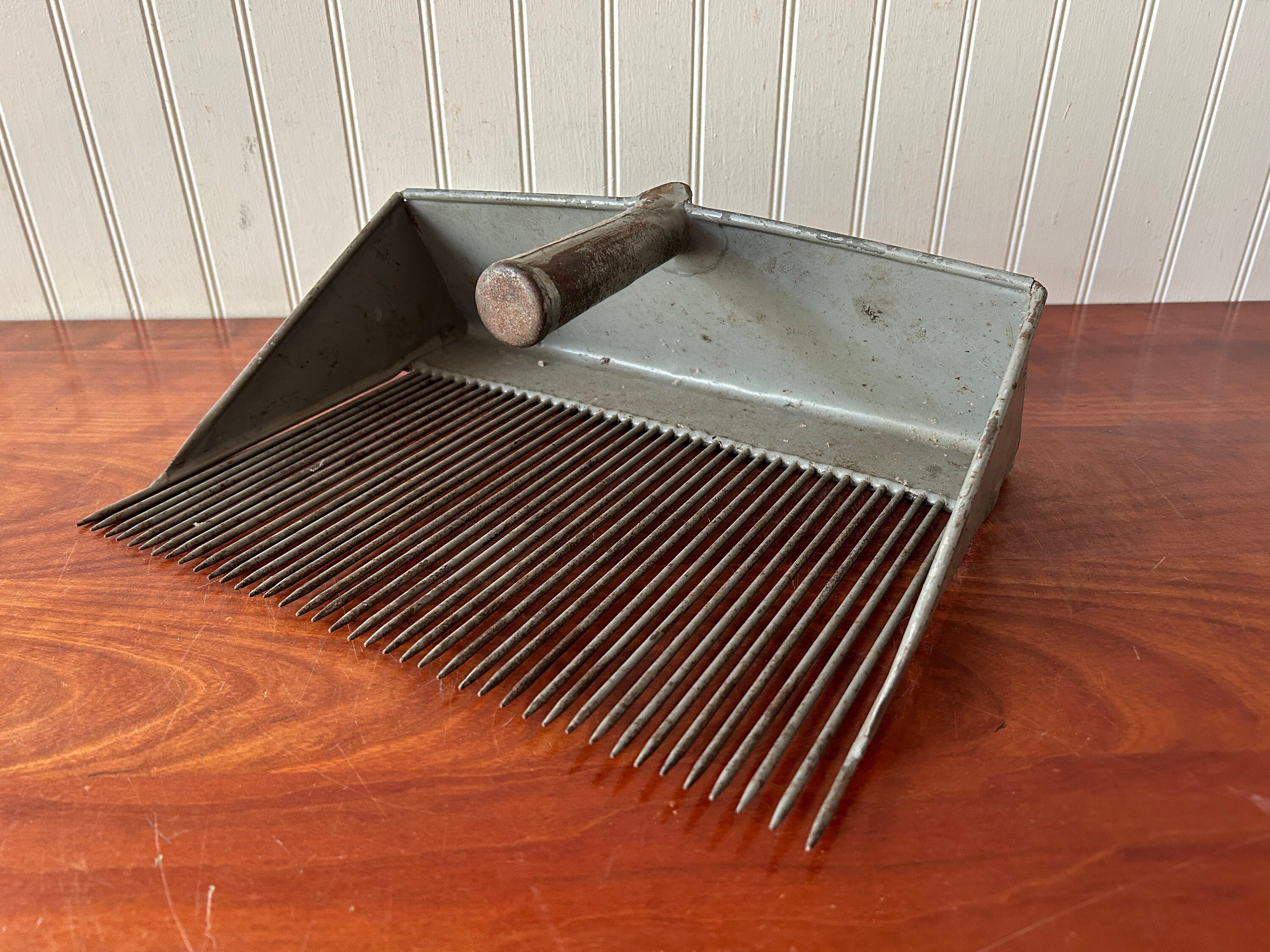 Homemade Blueberry Rake