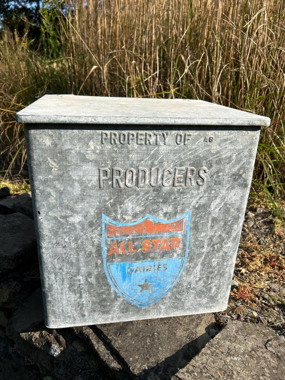 Vintage Galvanized Milk Box Galvanized Milkman Box Producers All Star ...