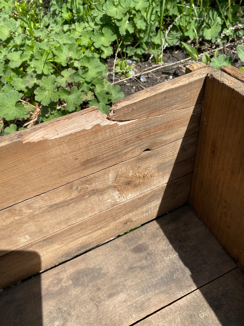 Vintage Wooden Cranberry Crate Vintage Cranberry Box - Etsy