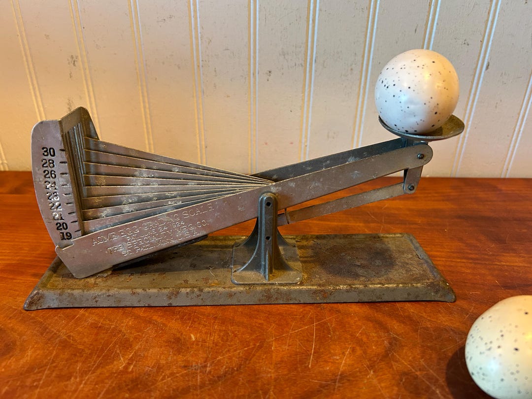 Vintage Egg Scaler Egg Scale Vintage Egg Scale Vintage Farmhouse Decor ...