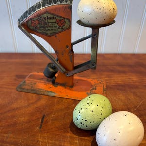 Egg scale - Etsy