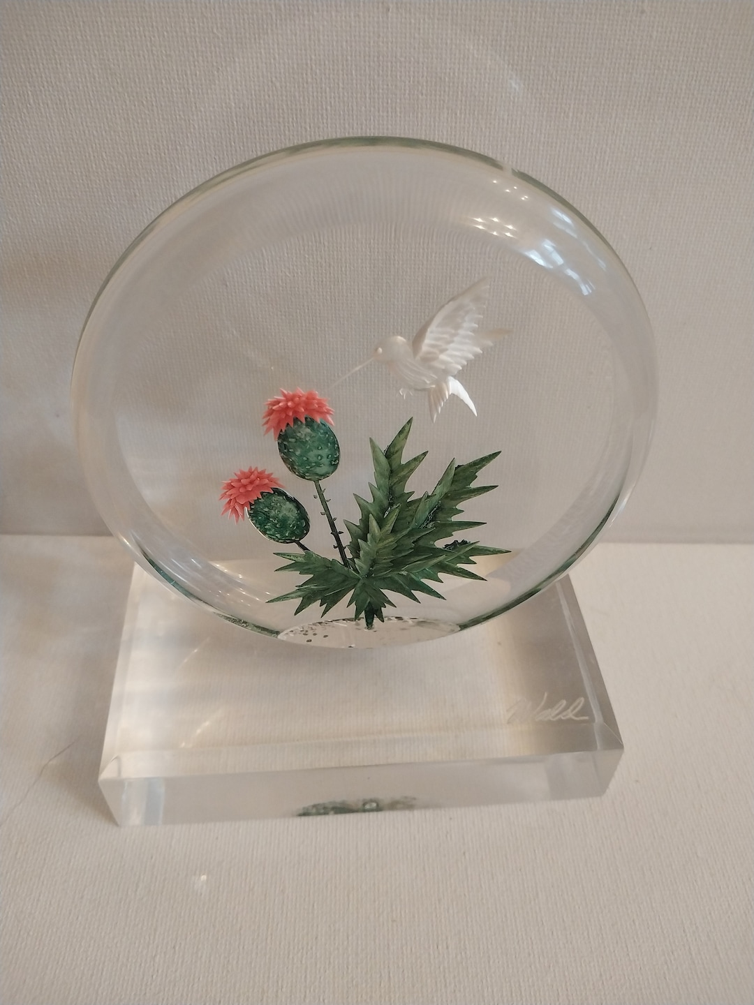 Acrylic Hummingbird Display - Etsy