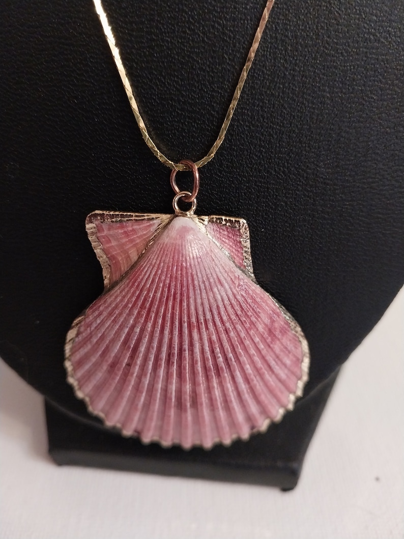 Pink Shell Necklace - Etsy