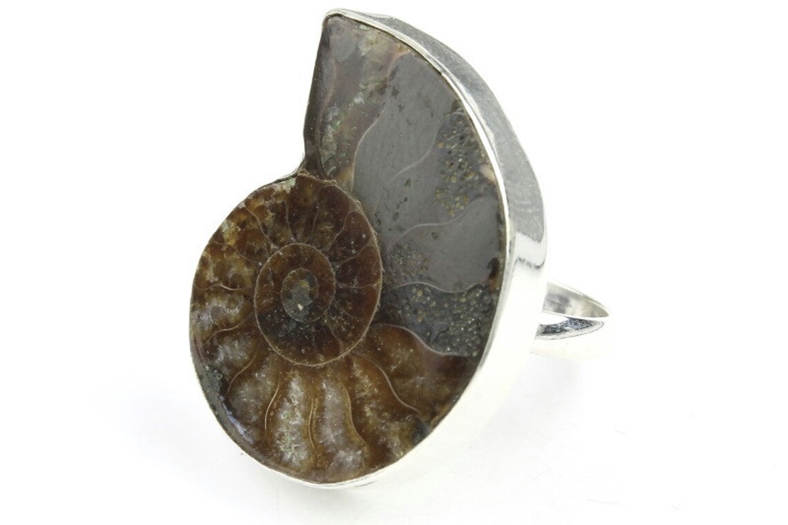Ammonite Fossil Ring Sterling Silver Ammonite Ring Nautilus | Etsy