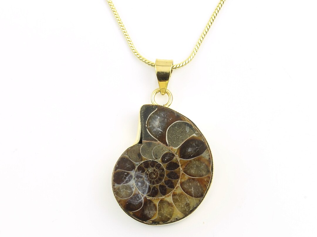 Nautilus Shell Necklace, Brass Nautilus Fossil, Spiral, Sacred Geometry ...