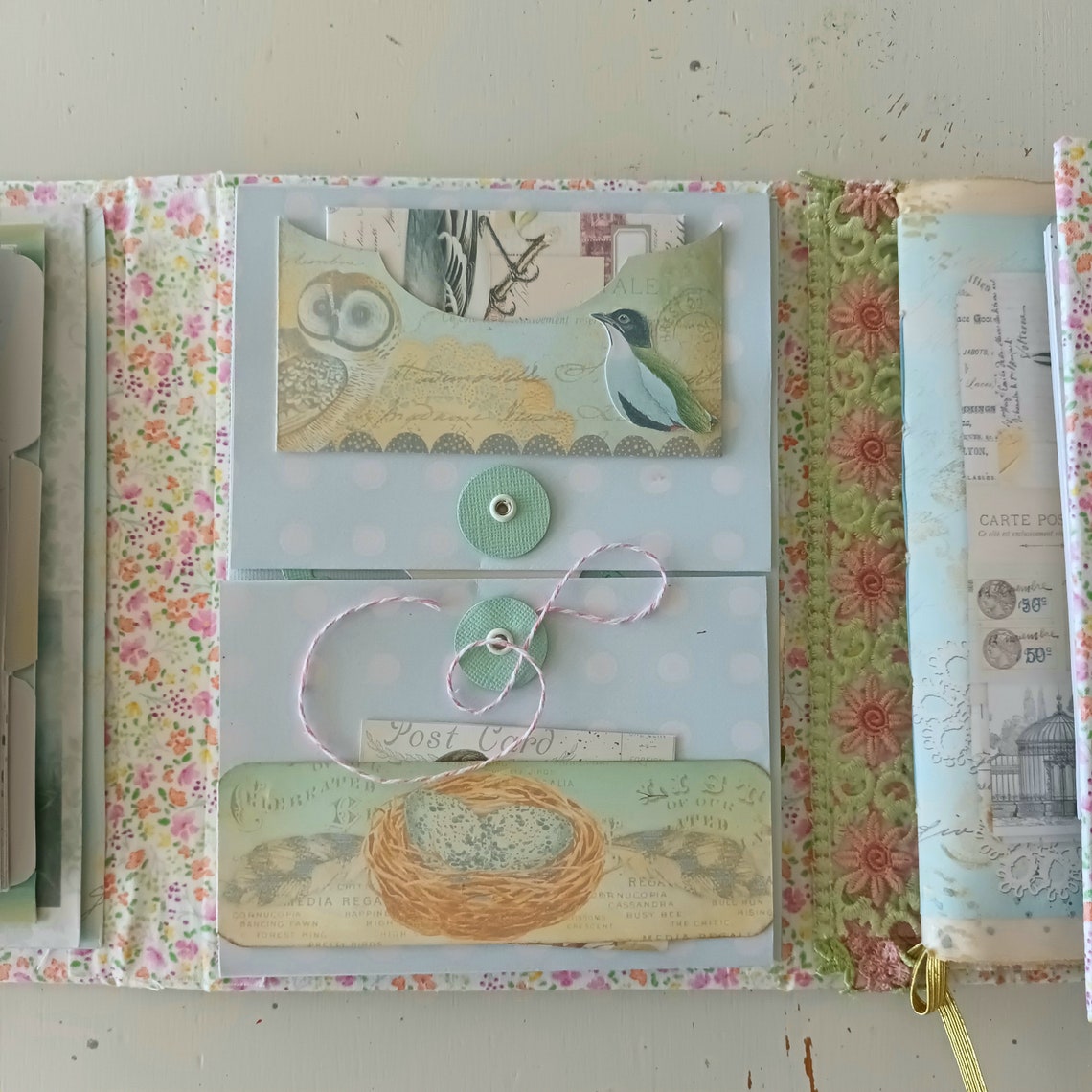 Bird Lapbook Style Journal Bird Journal Handmade Journal - Etsy