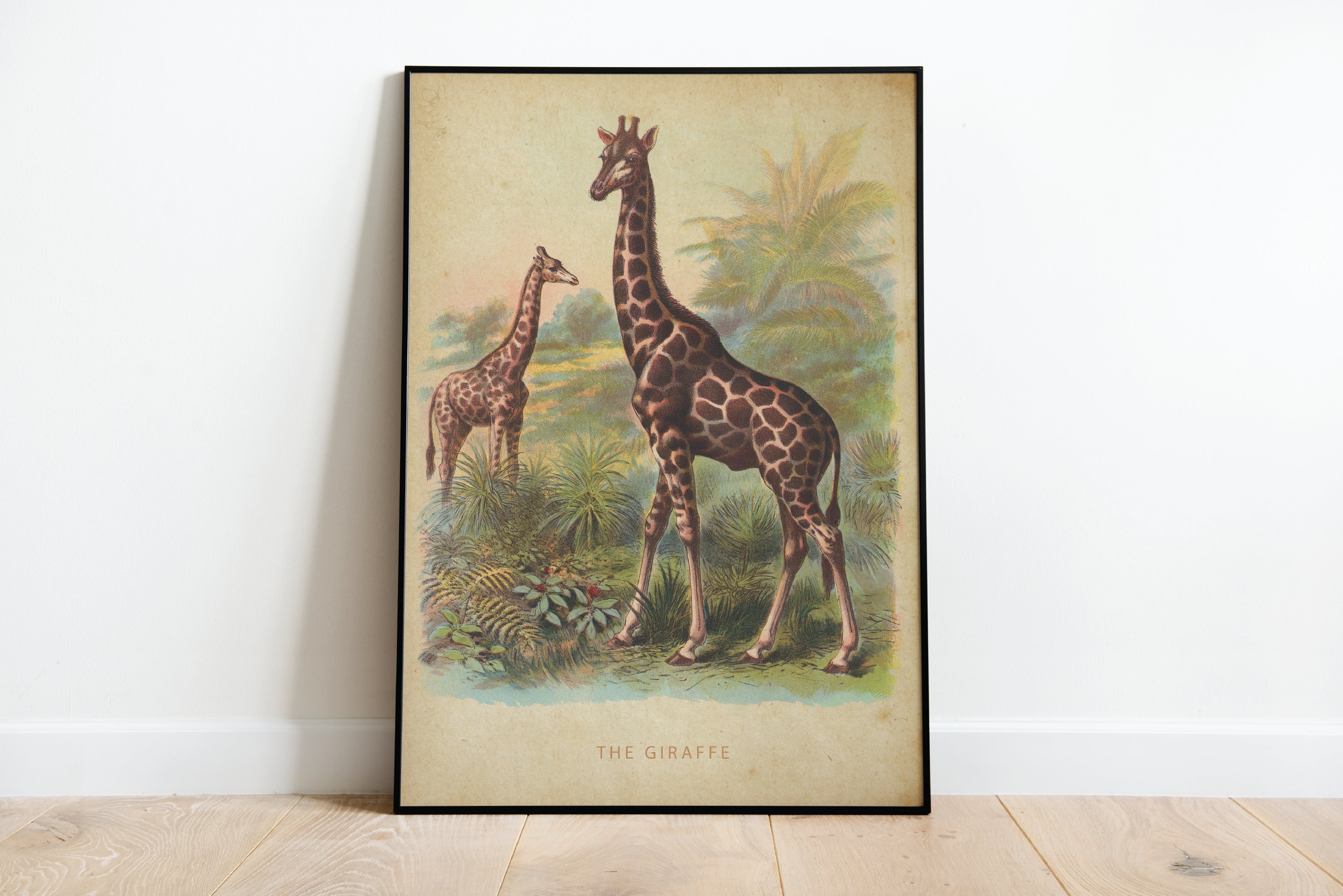 Vintage Giraffe Poster | Etsy