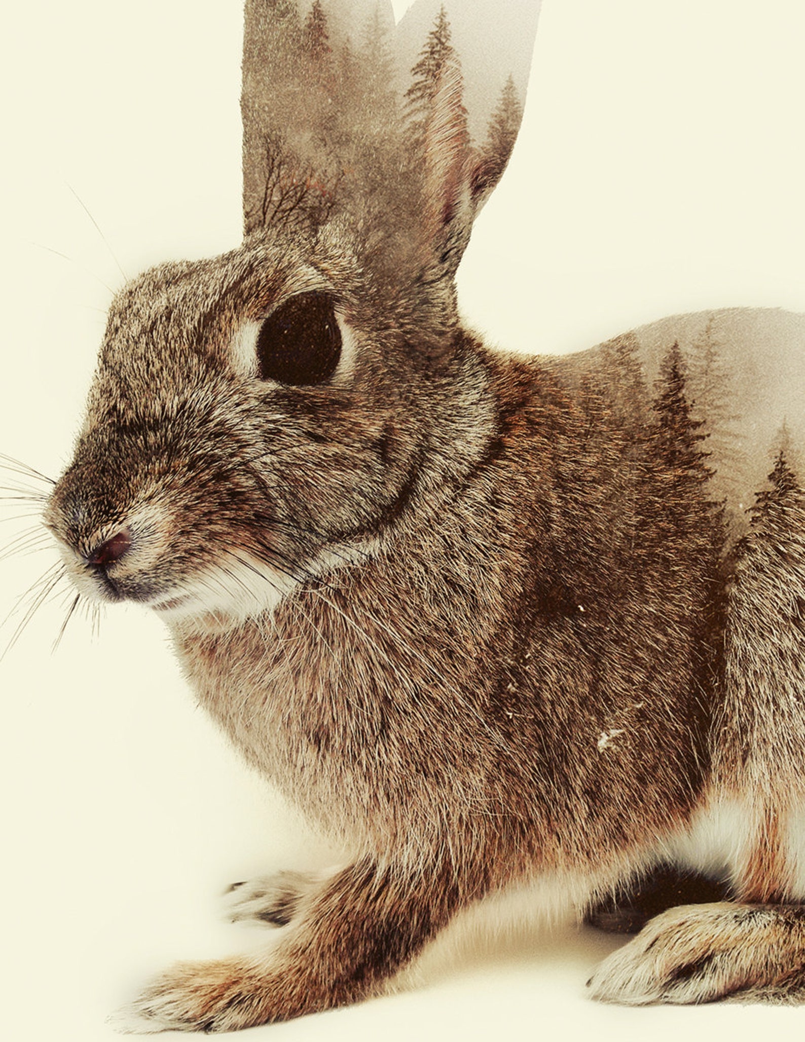 Rabbit print bunny print rabbit art printable art rabbit | Etsy