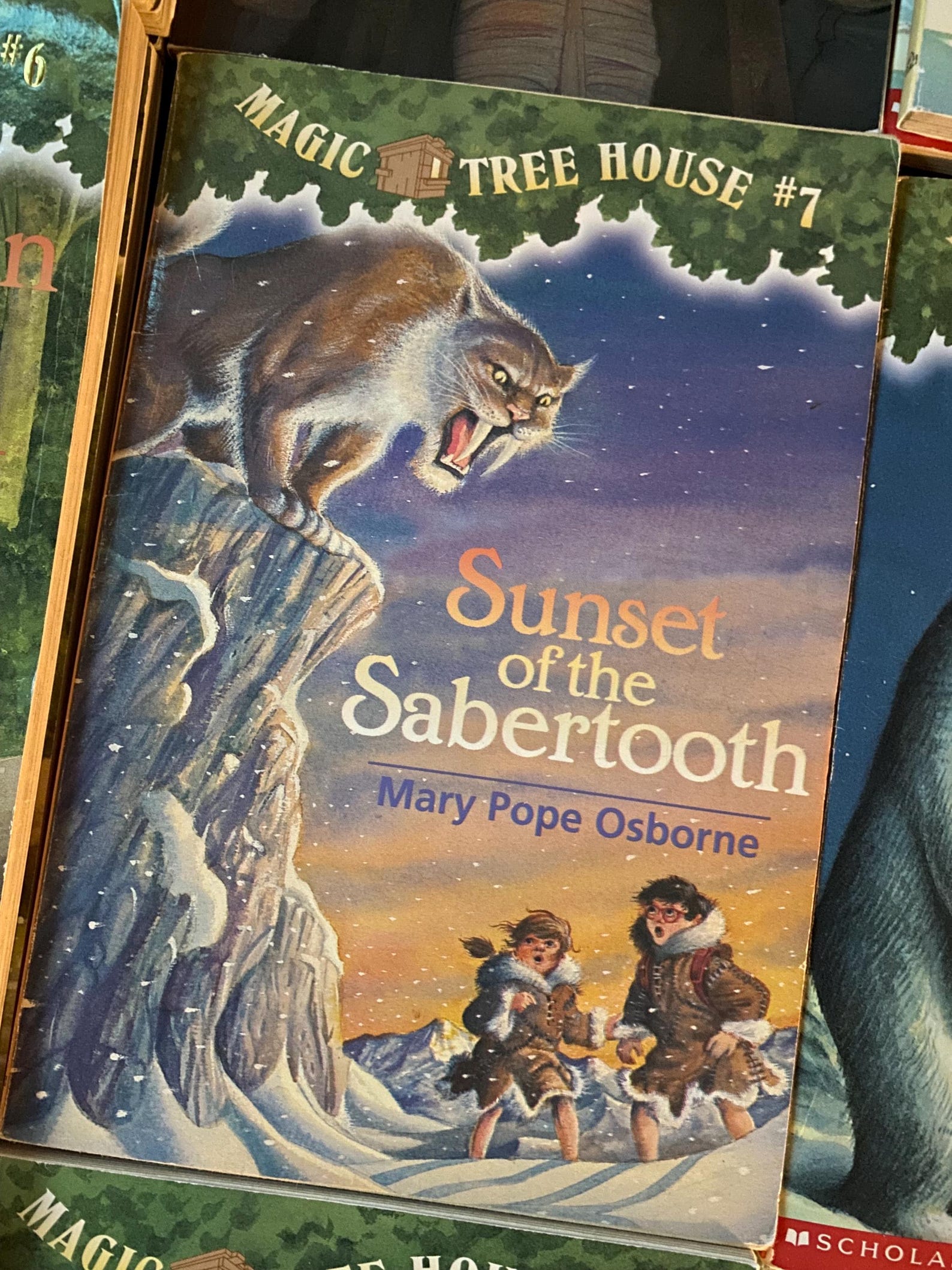 Magic Tree House Books by Mary Pope Osborne Condition Very Good ...