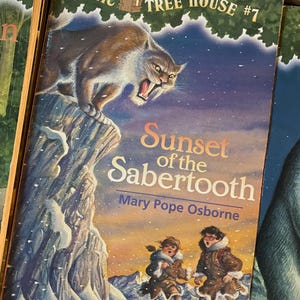 Magic Tree House Books by Mary Pope Osborne Condition Very Good ...