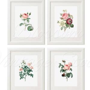 Vintage Roses Prints, Wall Art, Decorative Rose Prints INSTANT DOWNLOAD ...