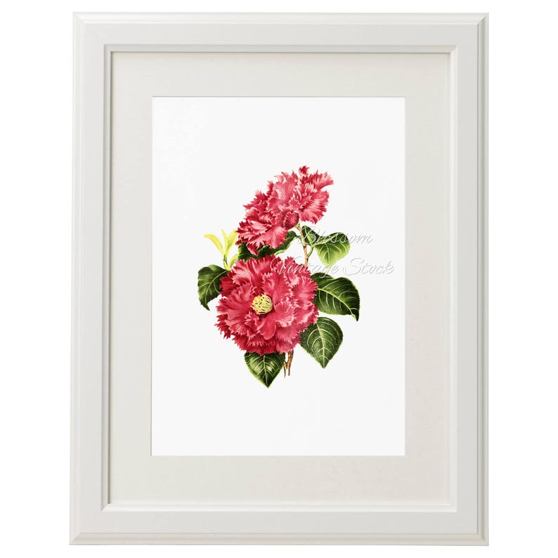 Flower art print Pink Flower art Floral art Pink Flowers | Etsy