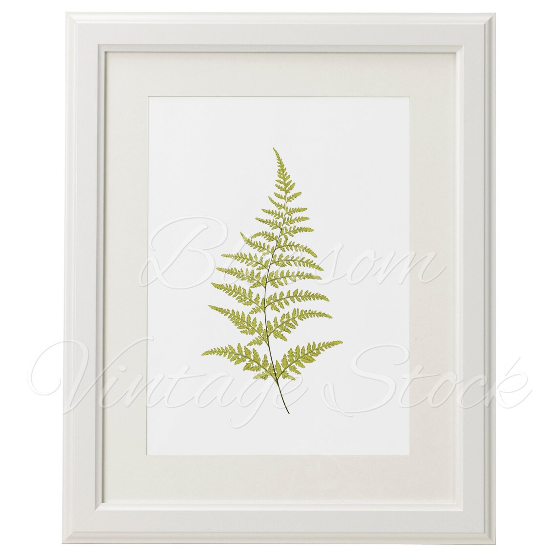 Botanical Printable Fern Foliage Botanical Leaf Print | Etsy