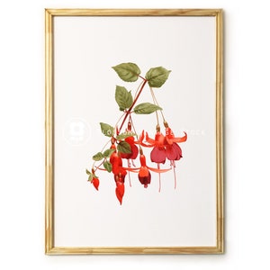 Red Flowers Botanical Print Set Botanical Vintage Botanical ...