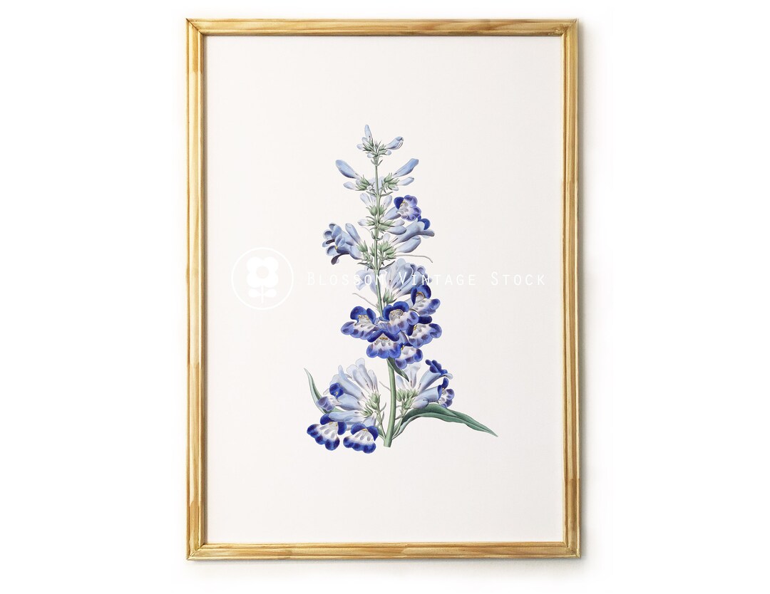 Blue Flower Botanical Printable Art Blue Vintage Digital Image Antique ...