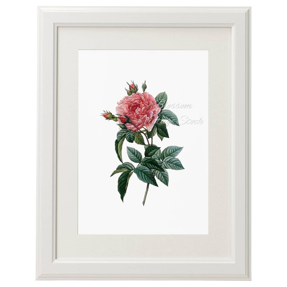 Rose Print Printable Wall Art Botanical Print Flower Print | Etsy