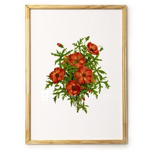 Vintage Flower Print Wall Art Printable Vintage Flower - Etsy