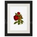 Red Rose Print Printable Art Antique Rose Antique Rose - Etsy