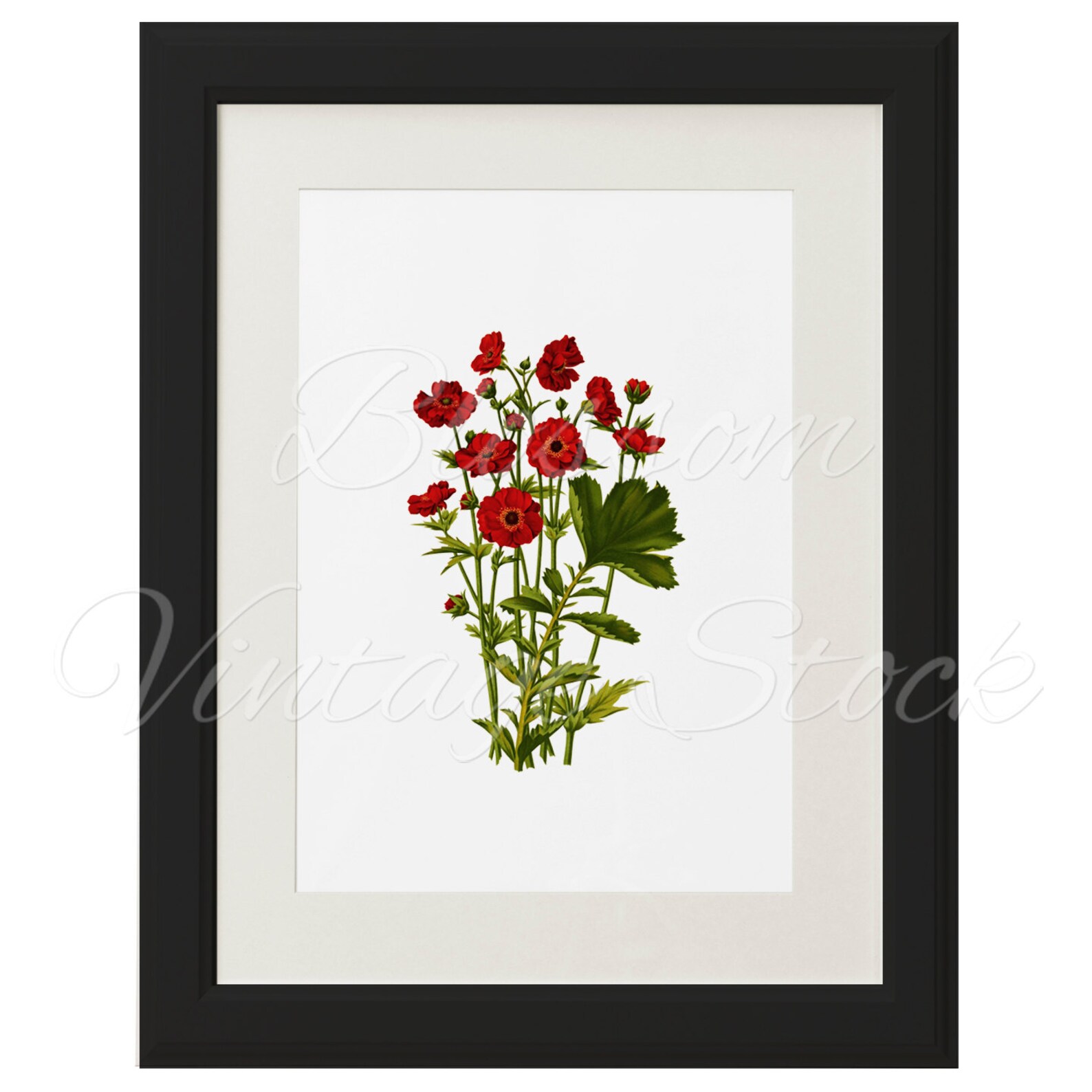 Vintage Flower Print Floral Print Vintage Botanical Print | Etsy